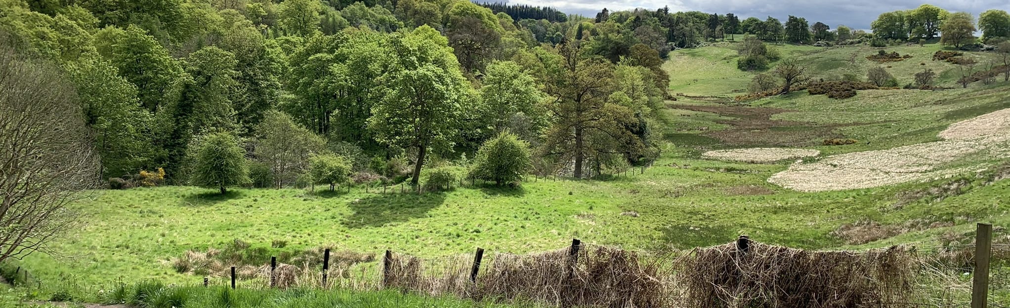 Roslin Glen and Chapel, Midlothian, Scotland - 91 Reviews, Map | AllTrails