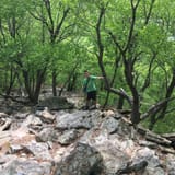 Lower Trail to Bald Knob Ridge Trail, Pennsylvania - 170 Reviews, Map ...