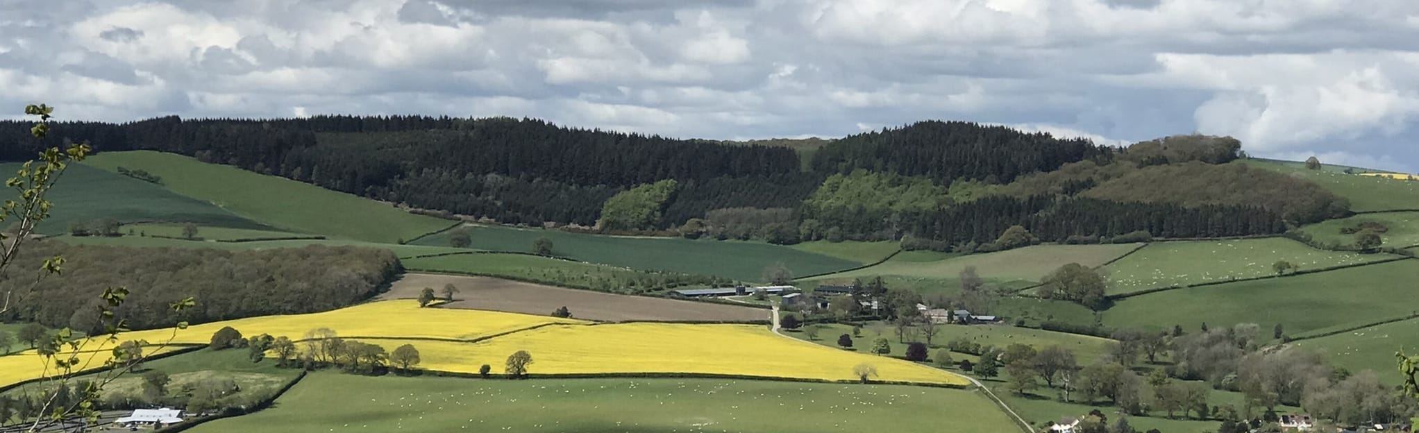 Wapley Woods and Hill Fort Circular, Powys, Wales - 14 Reviews, Map ...