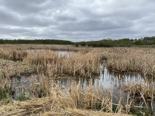 Best Hikes and Trails in Neudorf | AllTrails