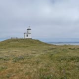 Cattle Point Trail, Washington - 123 Reviews, Map | AllTrails