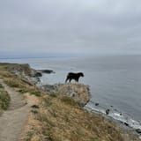 Cattle Point Trail, Washington - 123 Reviews, Map | AllTrails