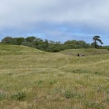 Cattle Point Trail, Washington - 123 Reviews, Map | AllTrails