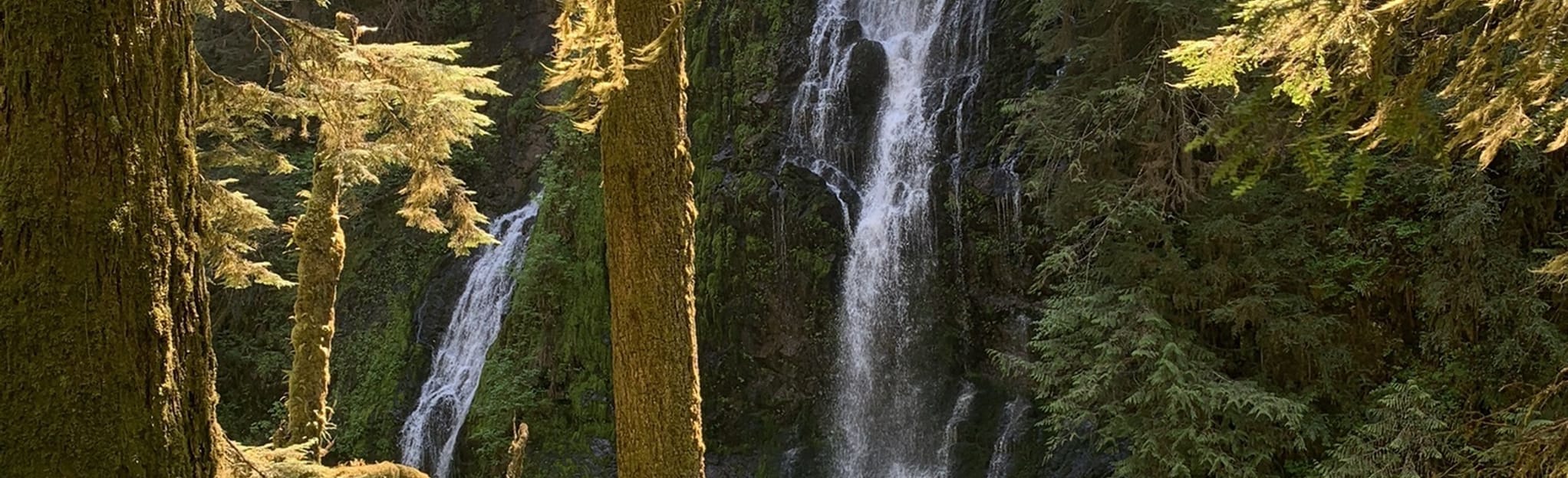 Boulder River Trail: 1452 Reviews, Map - Washington | AllTrails
