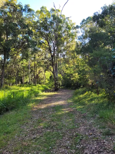 10 Best Trails and Hikes in Mount Cotton | AllTrails