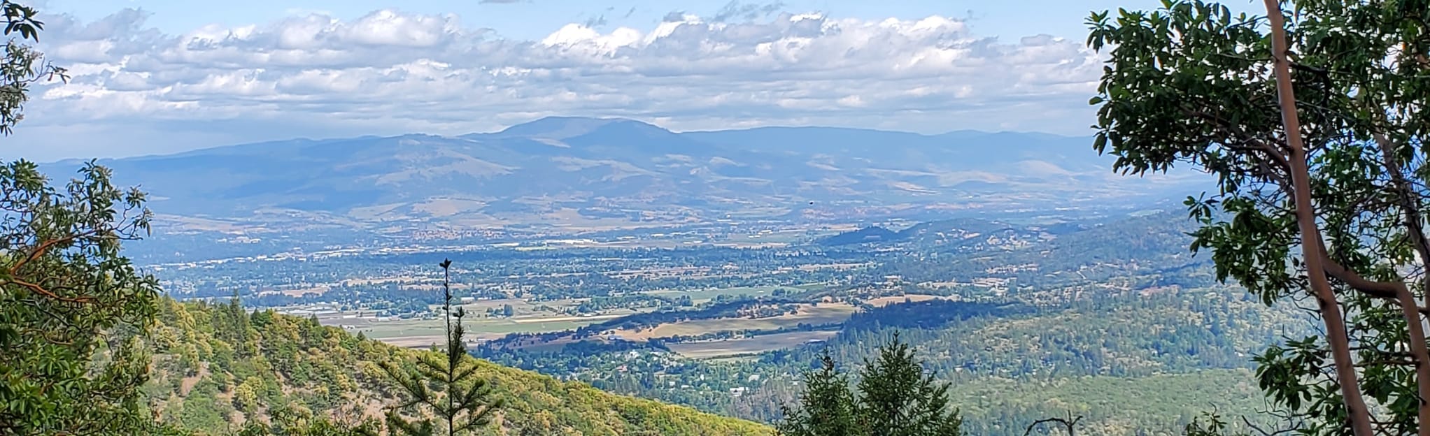 Norling Gulch Loop, Oregon - 142 Reviews, Map | AllTrails