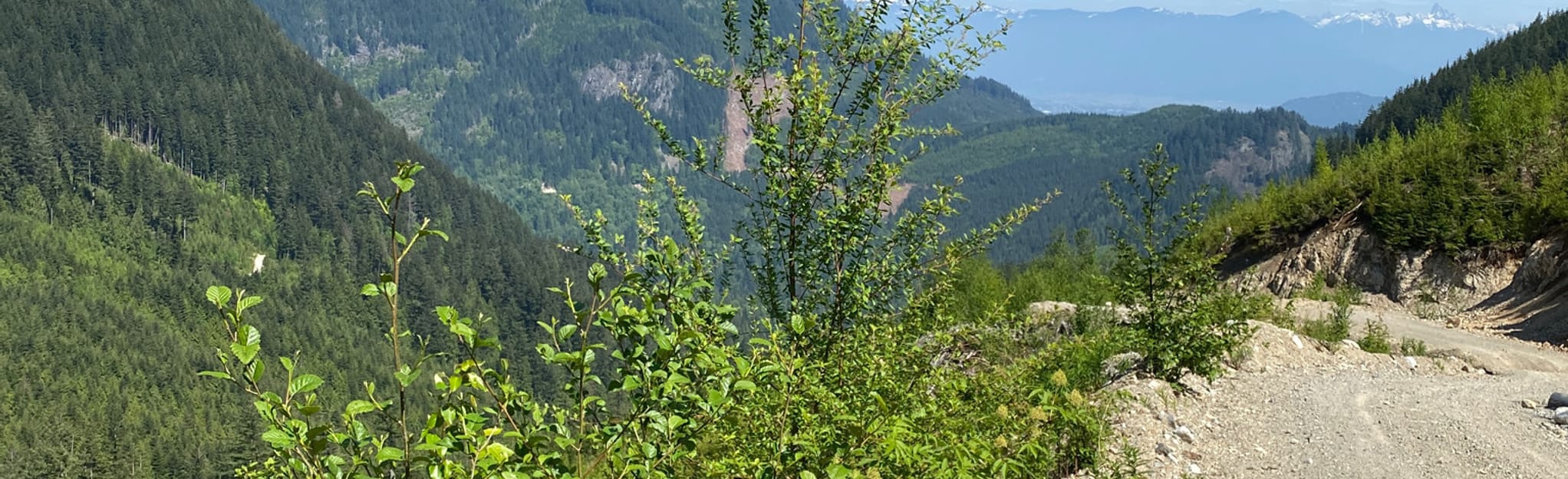 Dewdney Grind and Norrish FSR Loop, British Columbia, Canada - 15 ...