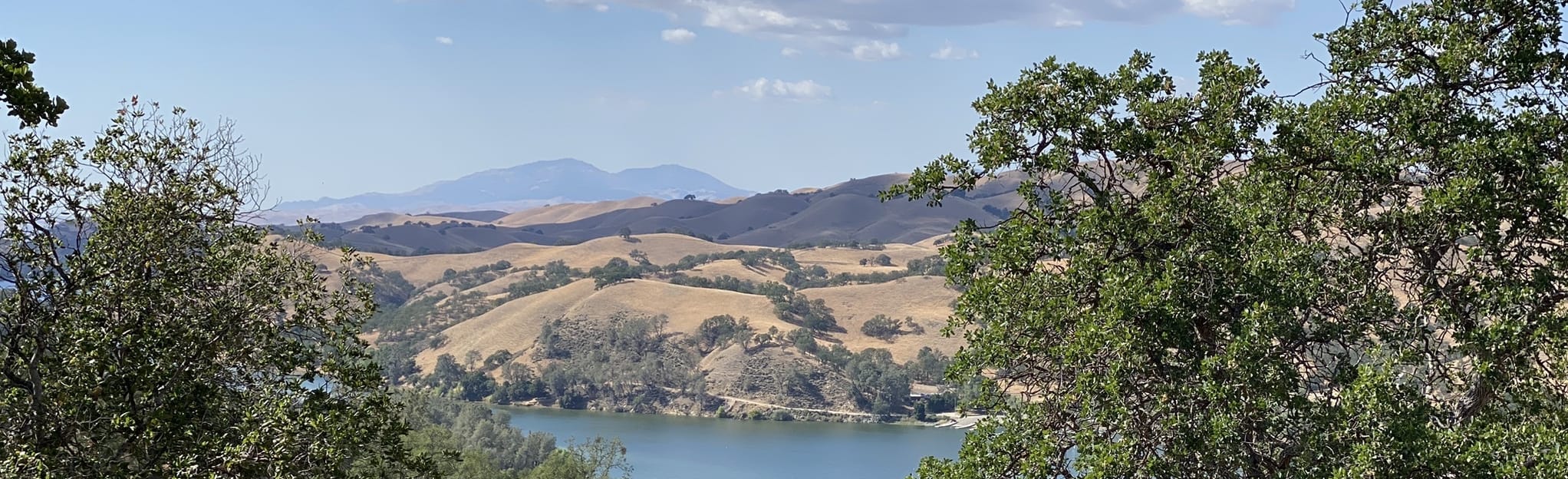 Ohlone Wilderness Trail - Del Valle: 334 Reviews, Map - California ...