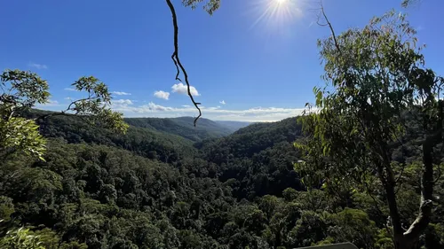 10 Best Waterfall Trails in Springbrook National Park | AllTrails