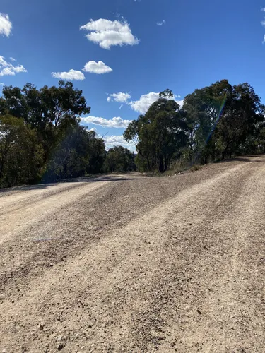Best Moderate Trails in Jerrabomberra Mountain Reserve | AllTrails