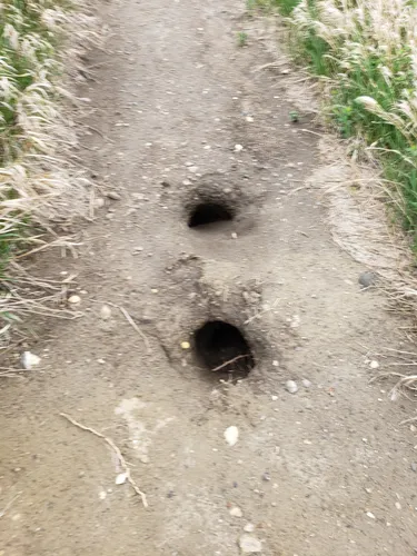 Best Hikes and Trails in Beaver Lake State Park | AllTrails