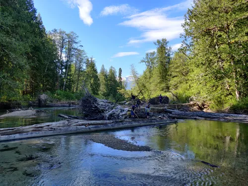 Best Hikes and Trails in Chilliwack River Ecological Reserve | AllTrails