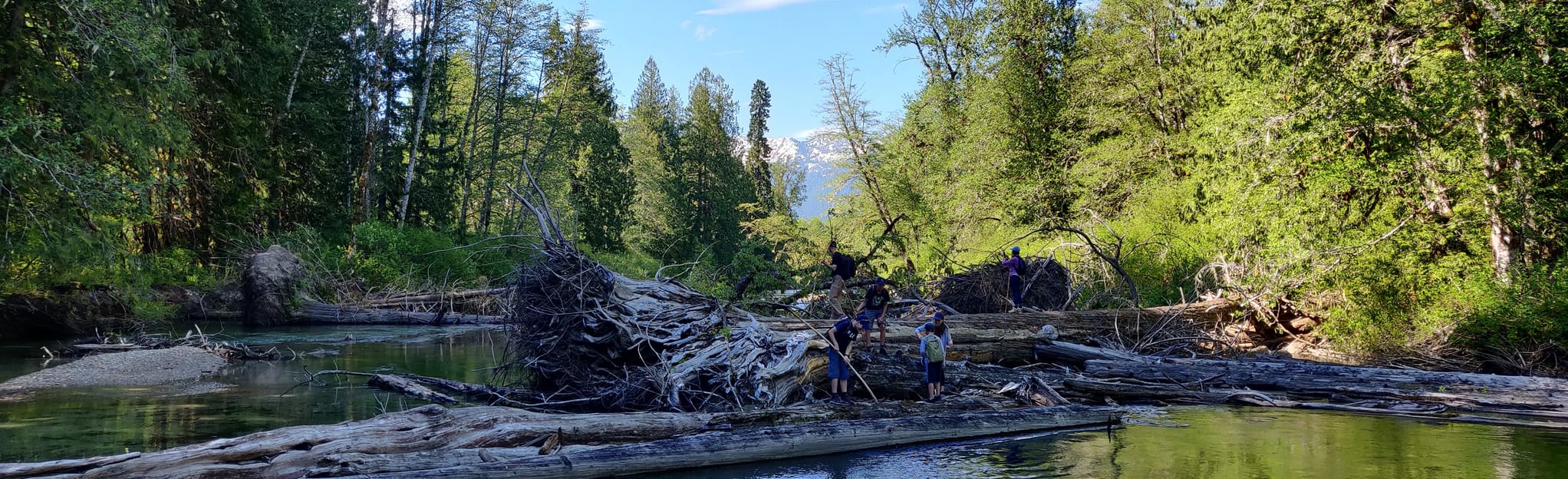 Chilliwack River Trail, British Columbia, Canada - 26 Reviews, Map ...