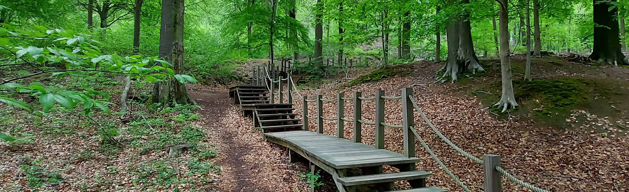 Kluisberg, 49 Fotos - Provinz Ostflandern, Belgien | AllTrails