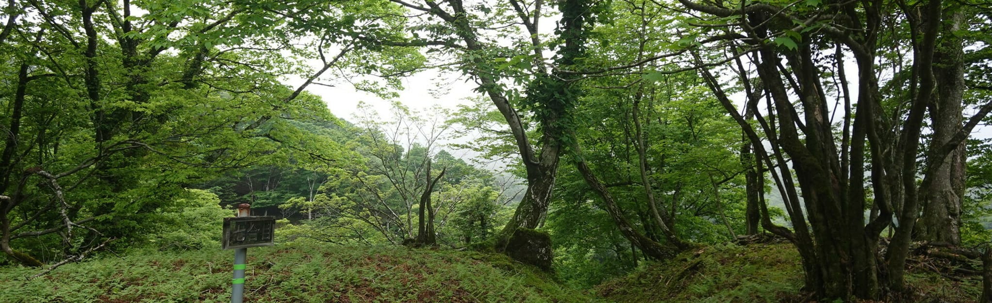 Kashiwabara Station - Mount Ryozen - Samegai Station | Map, Guide - Shiga, Japan | AllTrails