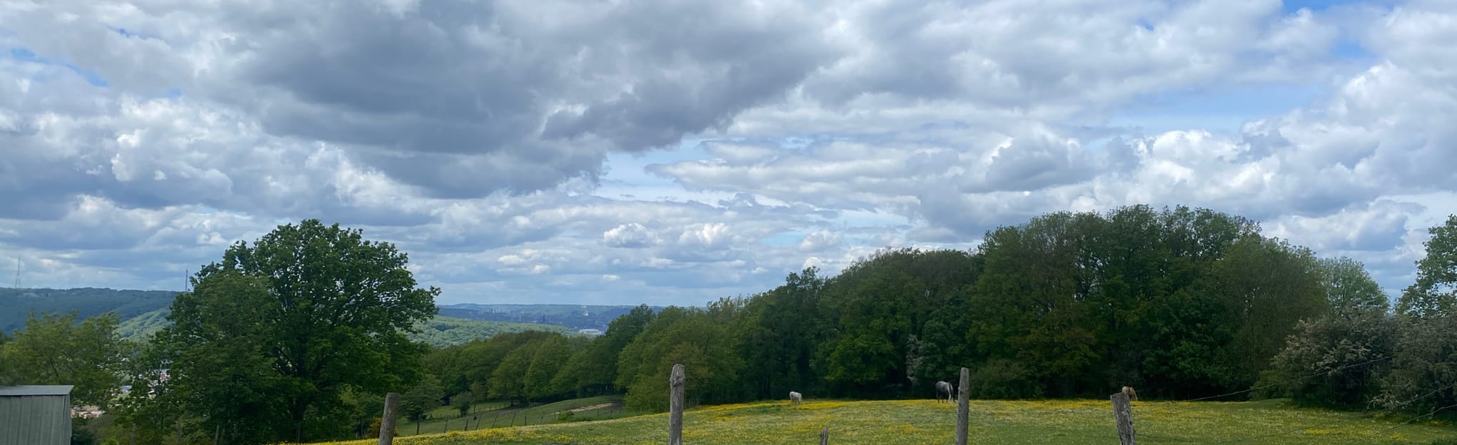 Chênée Loop via the Ry-Ponet Landscape Park: 46 Reviews, Map - Liège ...