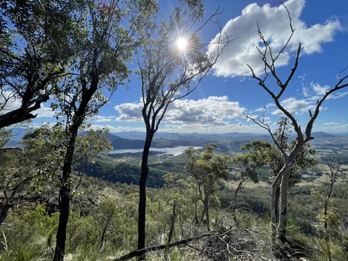 10 Best Hikes and Trails in Mount Barney National Park | AllTrails