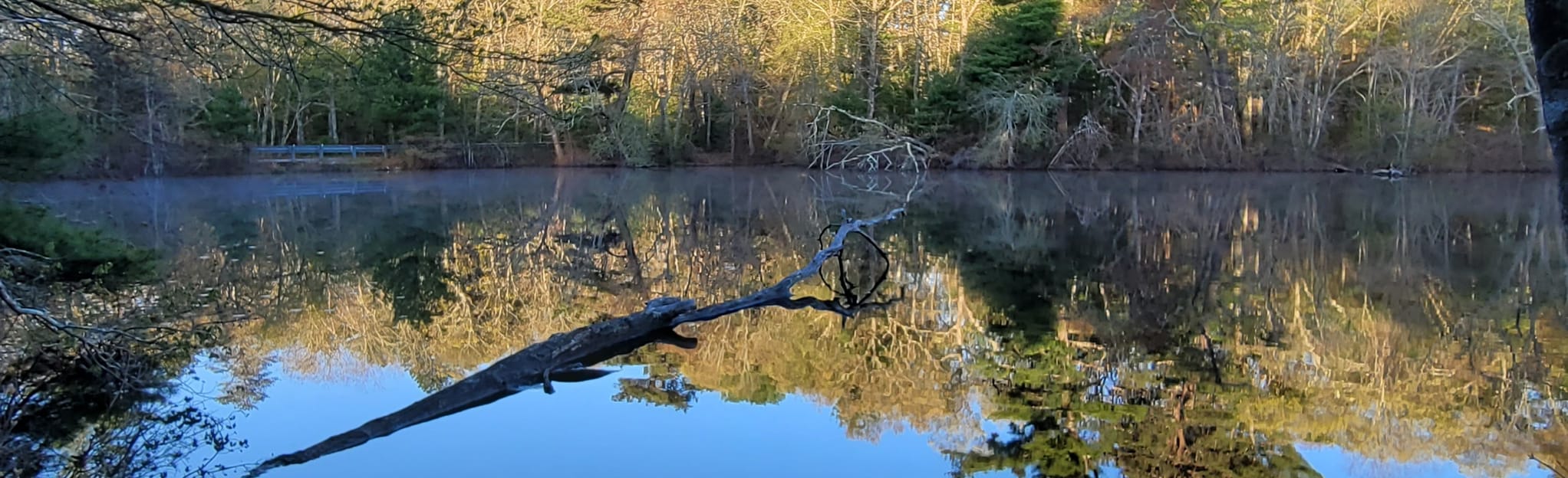 Lumbert Pond Trail, Massachusetts - 54 Reviews, Map | AllTrails
