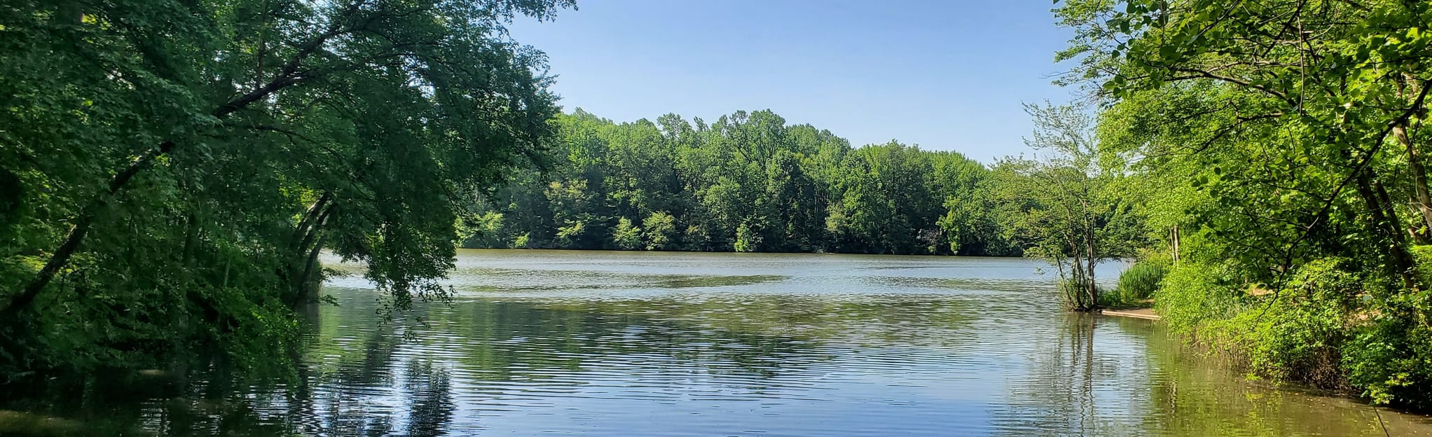 Swamp Forest Trail, Delaware - 1,994 Reviews, Map | AllTrails