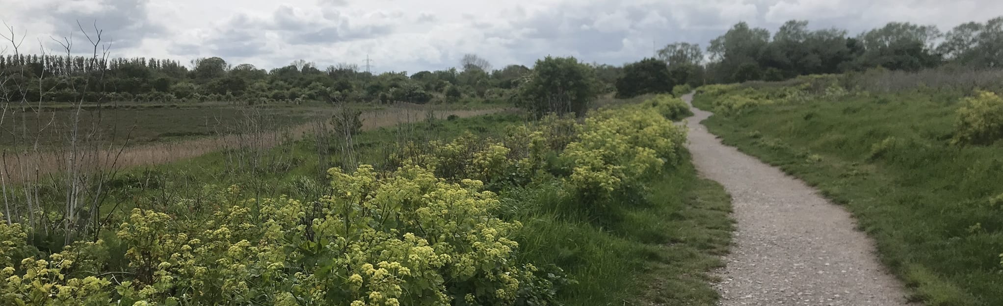 Pegwell Bay and Stonelees Nature Reserve, Kent, England - 11 Reviews ...