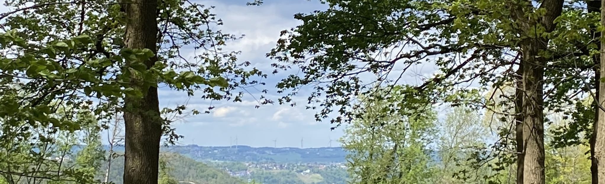 Marchin Loop, Liège, Belgium - 12 Reviews, Map | AllTrails