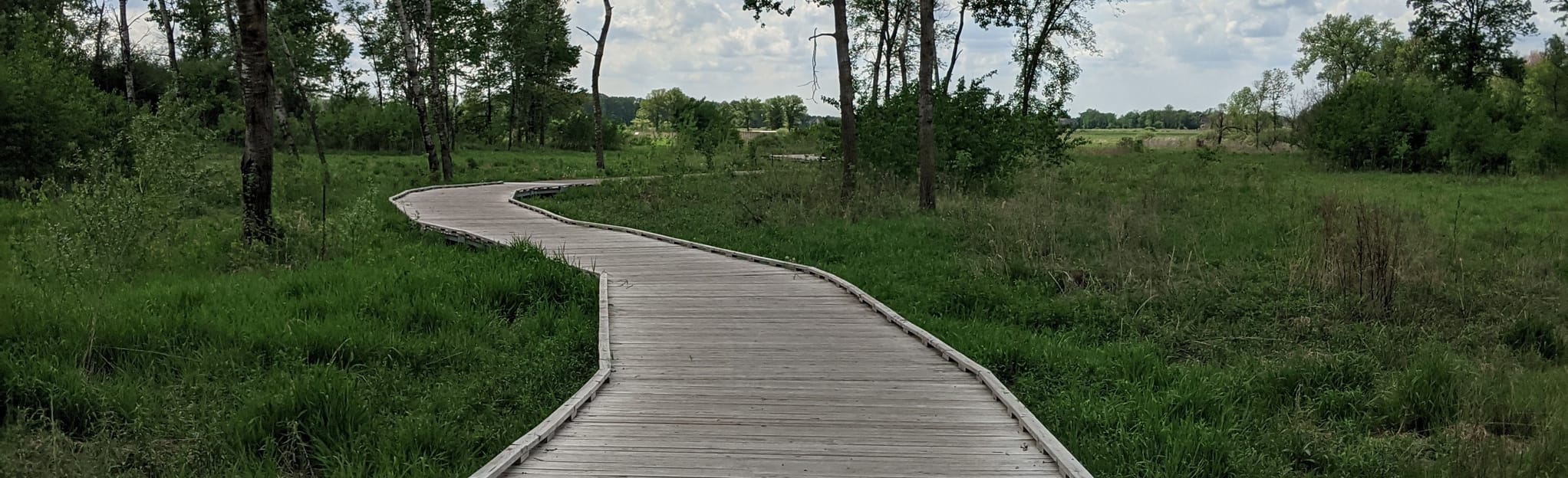 Blaine Wetland Sanctuary Path, Minnesota - 134 Reviews, Map | AllTrails