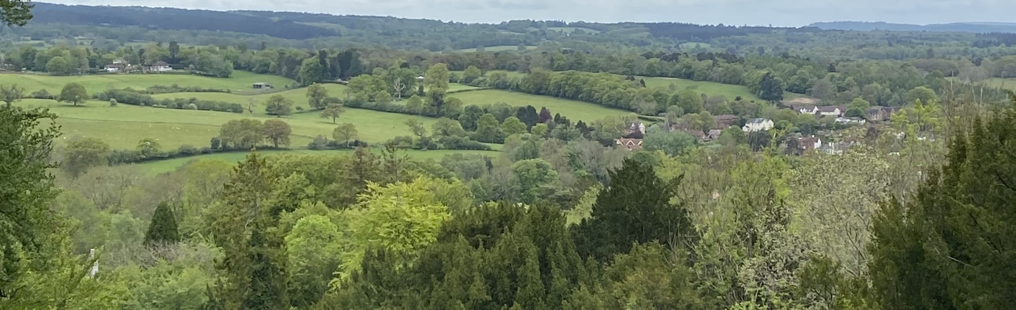 Gomshall Mill and Netley Park Circular: 157 Reviews, Map - Surrey ...