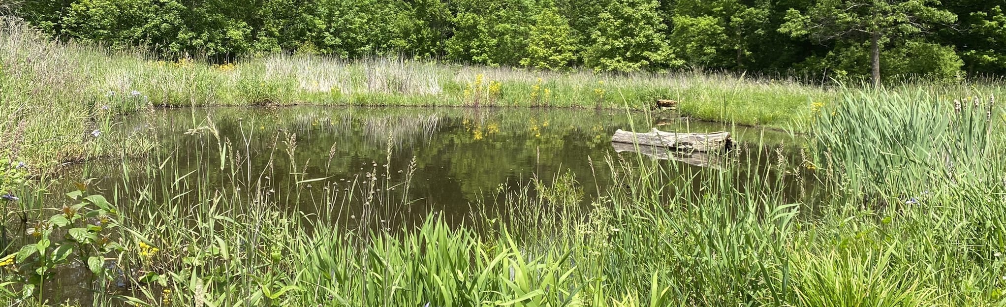 Douglas-Hart Nature Center Loop, Illinois - 22 Reviews, Map | AllTrails