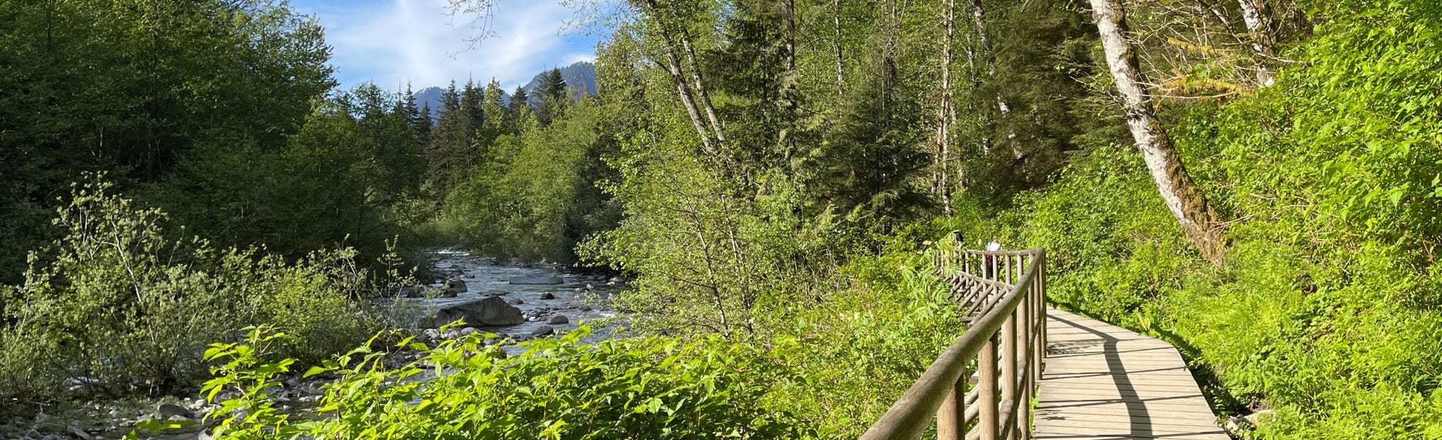 Cedar Mill Trail: 488 Reviews, Map - British Columbia, Canada | AllTrails