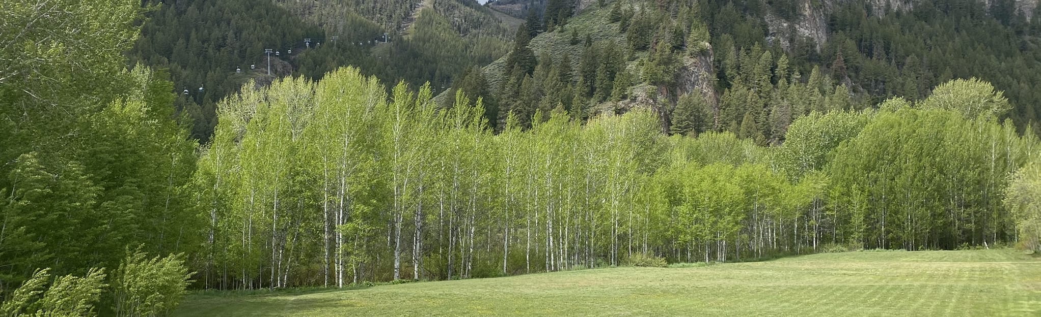 Wood River Trail - Idaho | AllTrails