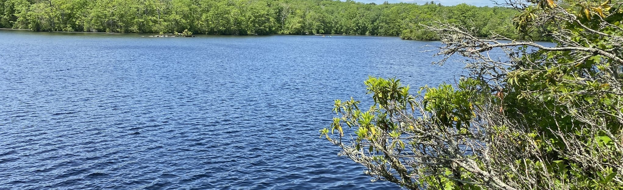 Green Fall Gorge to Long Pond, Connecticut - 46 Reviews, Map | AllTrails