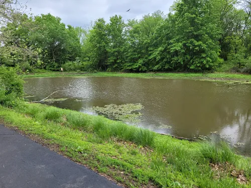 Best Hikes and Trails in Clay County Park | AllTrails