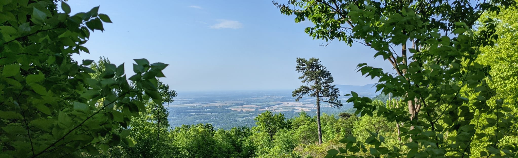 Hogback Mountain Trail, Pennsylvania - 22 Reviews, Map | AllTrails