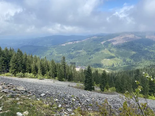 10 Best Hikes and Trails in Yacolt Burn State Forest | AllTrails