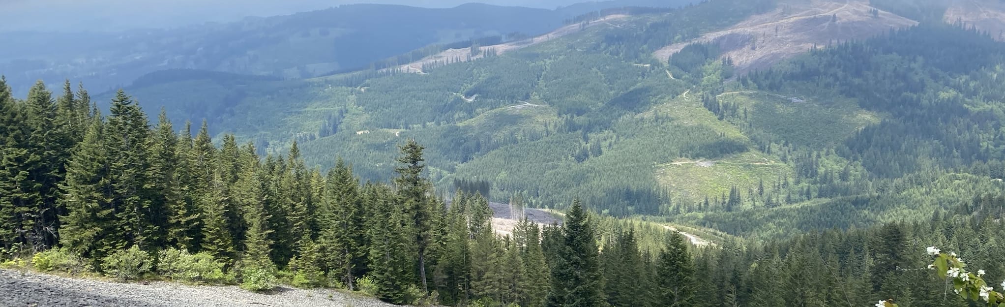 Larch Mountain via Sixth Sense, Top Top, and Tarbell Trail, Washington ...