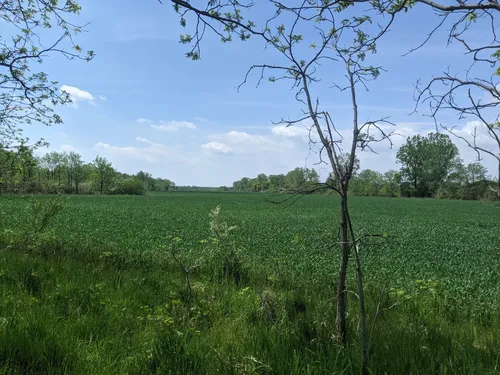 Best Hikes and Trails in Fingal Wildlife Management Area | AllTrails