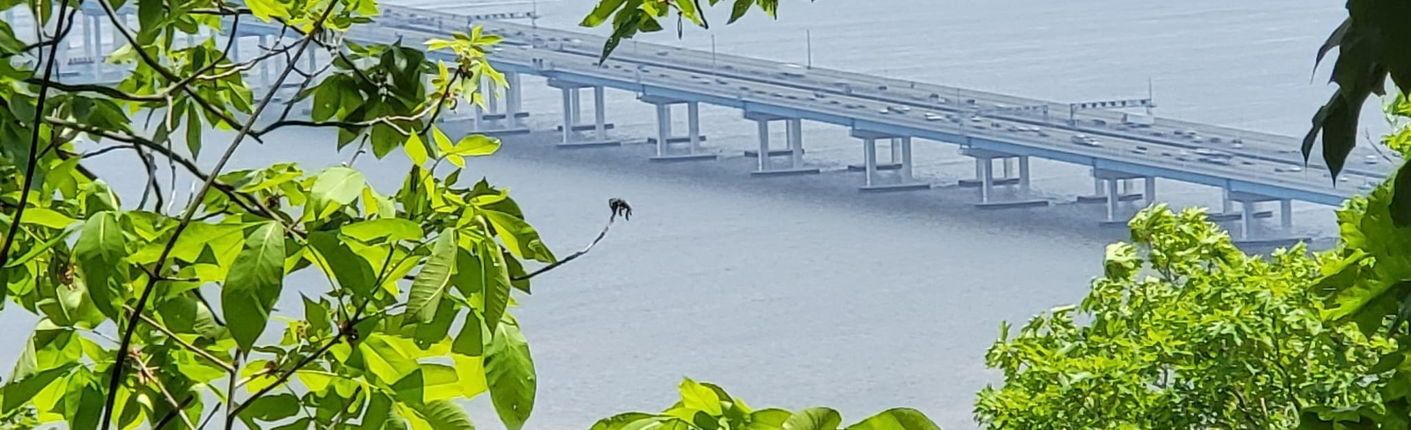 Long Path: Tackamack Park to Nyack - New York | AllTrails