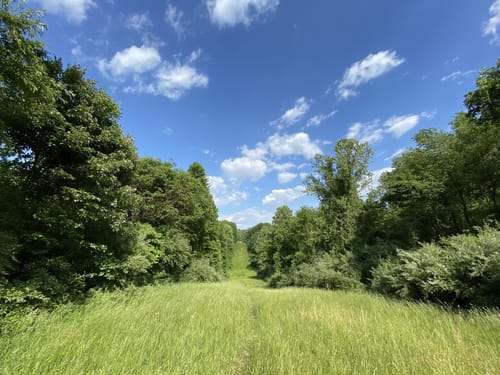 2023 Best 10 Trails and Hikes in Sykesville | AllTrails