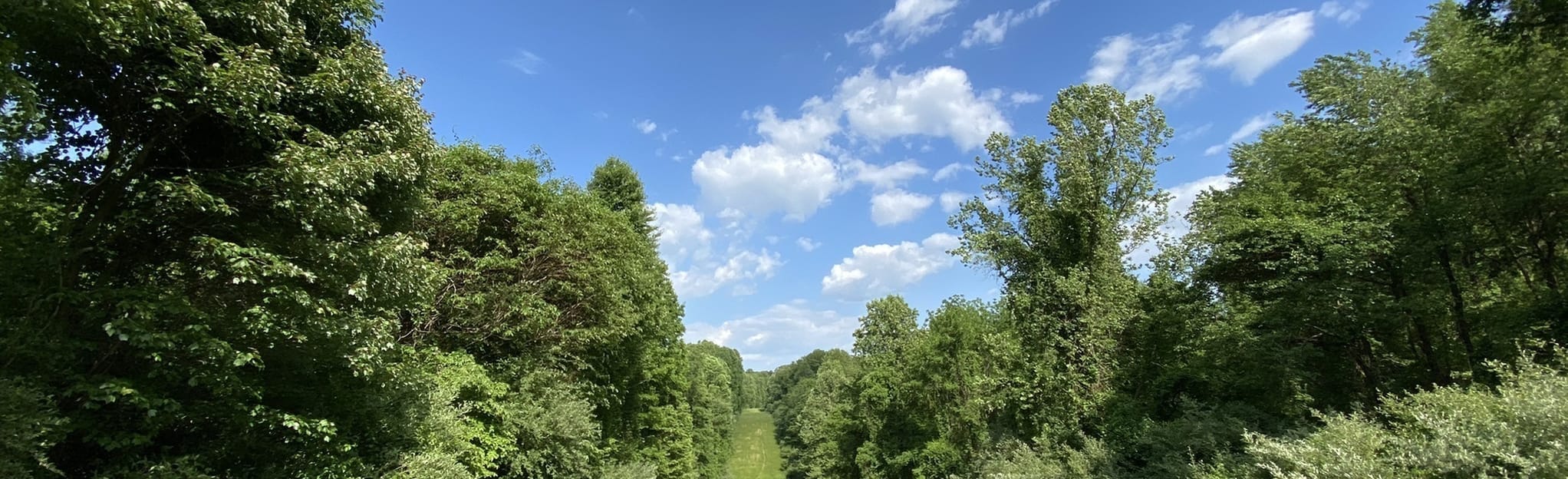 South Branch Patapsco River Trail | Map, Guide - Maryland | AllTrails