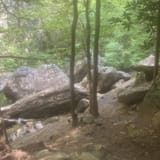 Bad Branch Trail, Kentucky - 170 Reviews, Map | AllTrails