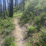 Domke Lake Trail, Washington - 26 Reviews, Map | AllTrails