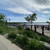 Lake Wilcox Park Loop, Ontario, Canada - 262 Reviews, Map | AllTrails