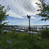 Lake Wilcox Park Loop, Ontario, Canada - 262 Reviews, Map | AllTrails