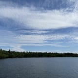 Lake Wilcox Park Loop, Ontario, Canada - 262 Reviews, Map | AllTrails