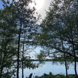 Lake Wilcox Park Loop, Ontario, Canada - 262 Reviews, Map | AllTrails