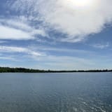 Lake Wilcox Park Loop, Ontario, Canada - 201 Reviews, Map | AllTrails