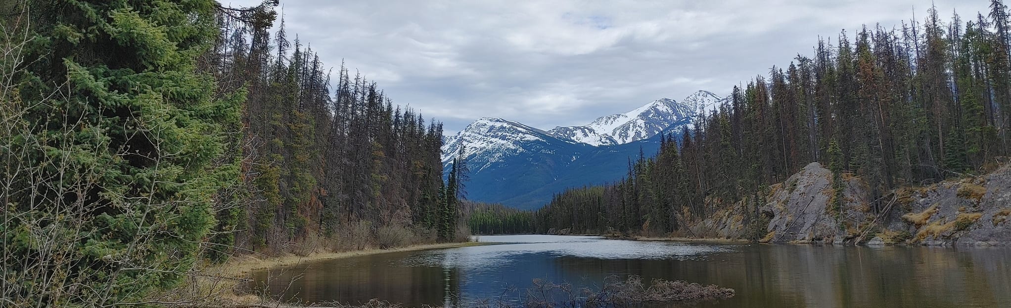 Virl Lake, Alberta, Canada - 10 Reviews, Map | AllTrails