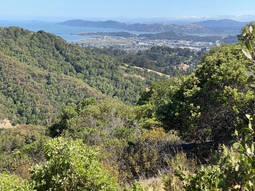 10 Best Trails and Hikes in San Rafael | AllTrails