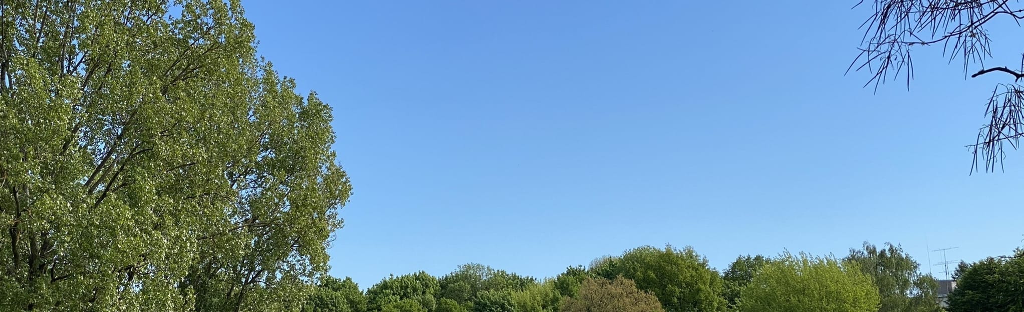 Guben City Park: 2 Reviews, Map - Brandenburg, Germany | AllTrails