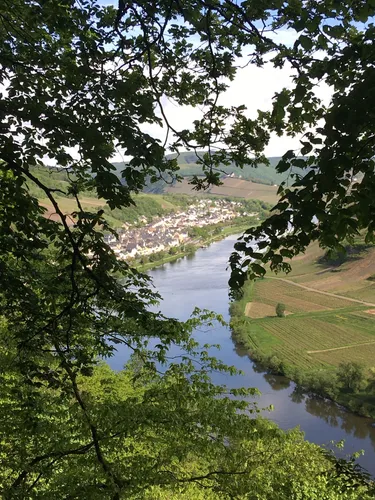 Best Hikes and Trails in Briedel | AllTrails